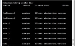 How to Configure Fast Ethernet and Serial Interface on Cisco Router