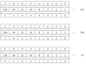 Understanding IP Addresses Tutorial: IP Addressing, Subnet Mask ...